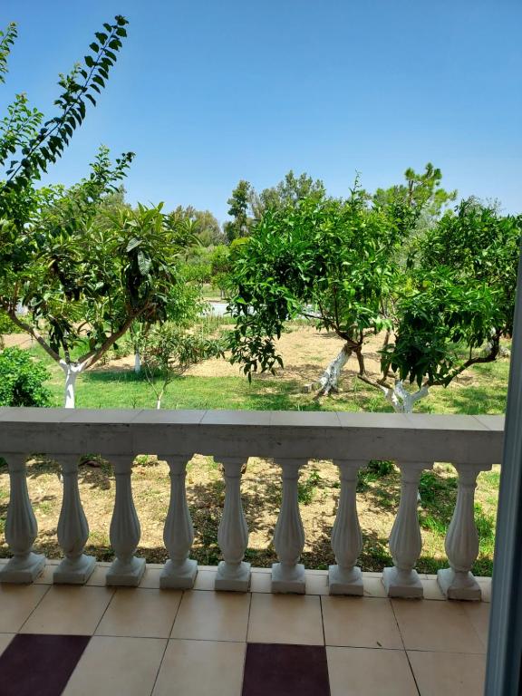Canditas Studios, Tsilivi (updated prices 2025)