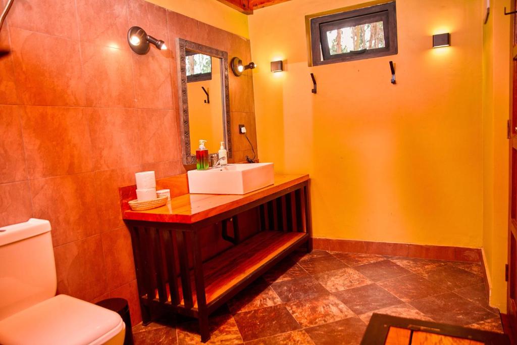 Shamba Lodge Cabin A, Arusha (updated prices 2025)