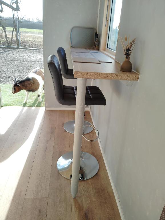 Daisy Lane Glamping, York (tarifs actualisés, 2025)