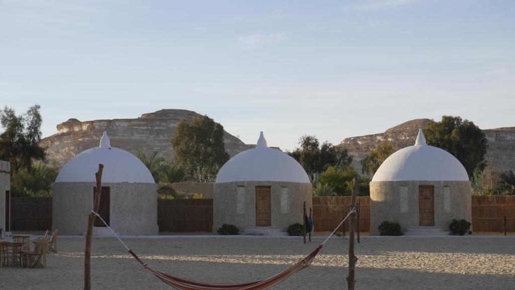 Gazrashek Siwa Hot spring& trips Haven, Siwa (prezzi aggiornati per il ...