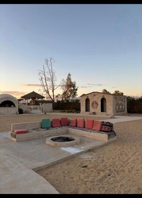 Gazrashek Siwa Hot spring& trips Haven, Siwa (tarifs actualisés, 2025)