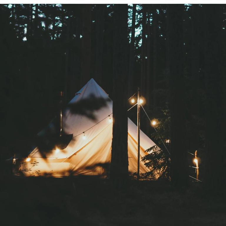 The Jairu kitchen home stay, Kasol (updated prices 2025)