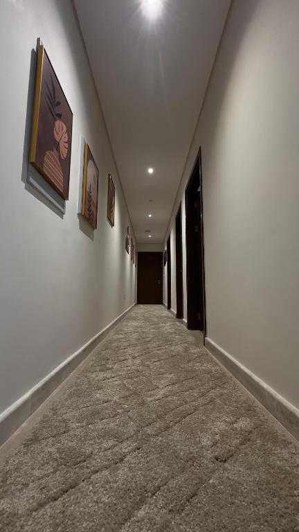 Zed Towers, Sheikh Zayed (posodobljene cene za leto 2025)