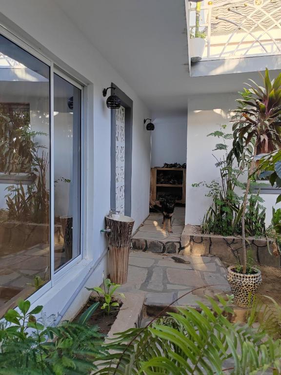 Pazuri villa mazeras, Mazeras (updated prices 2025)