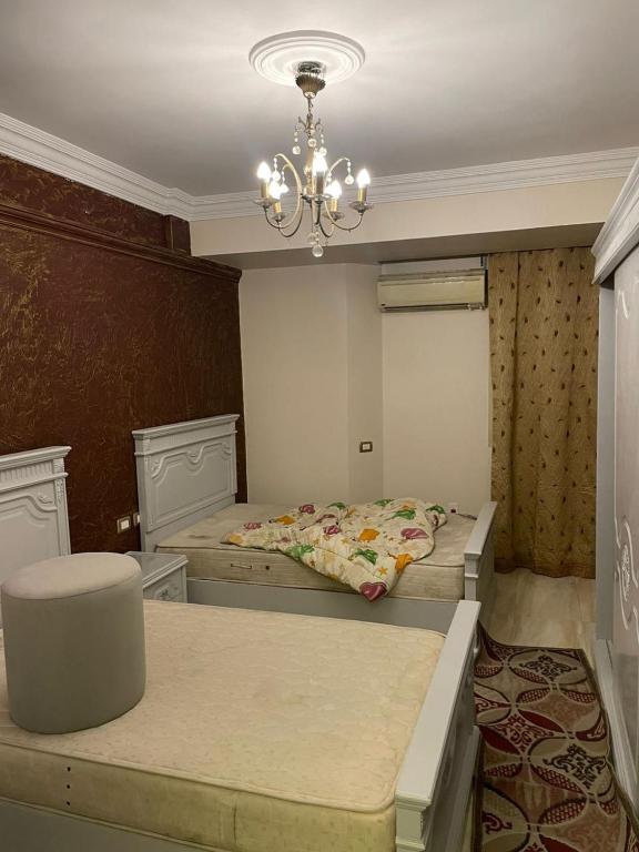 House, Cairo (updated prices 2026)