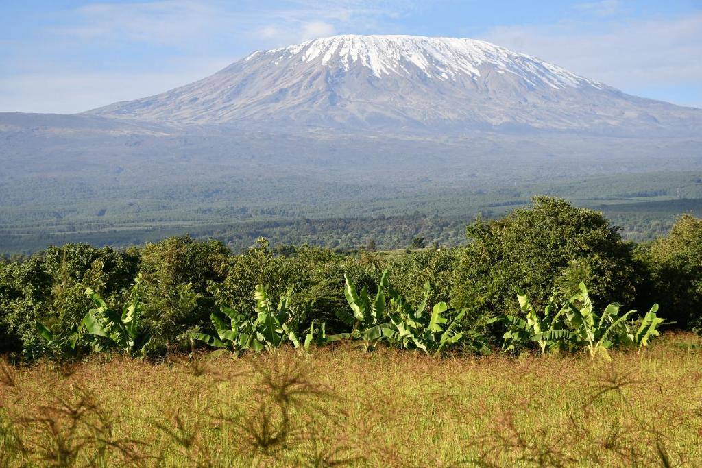 Kijiji Mlimani Amboseli, Oloitokitok (updated prices 2025)