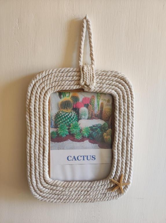 Chambre chez l'habitant "cactus" une, deux ou trois personnes, Derval ...