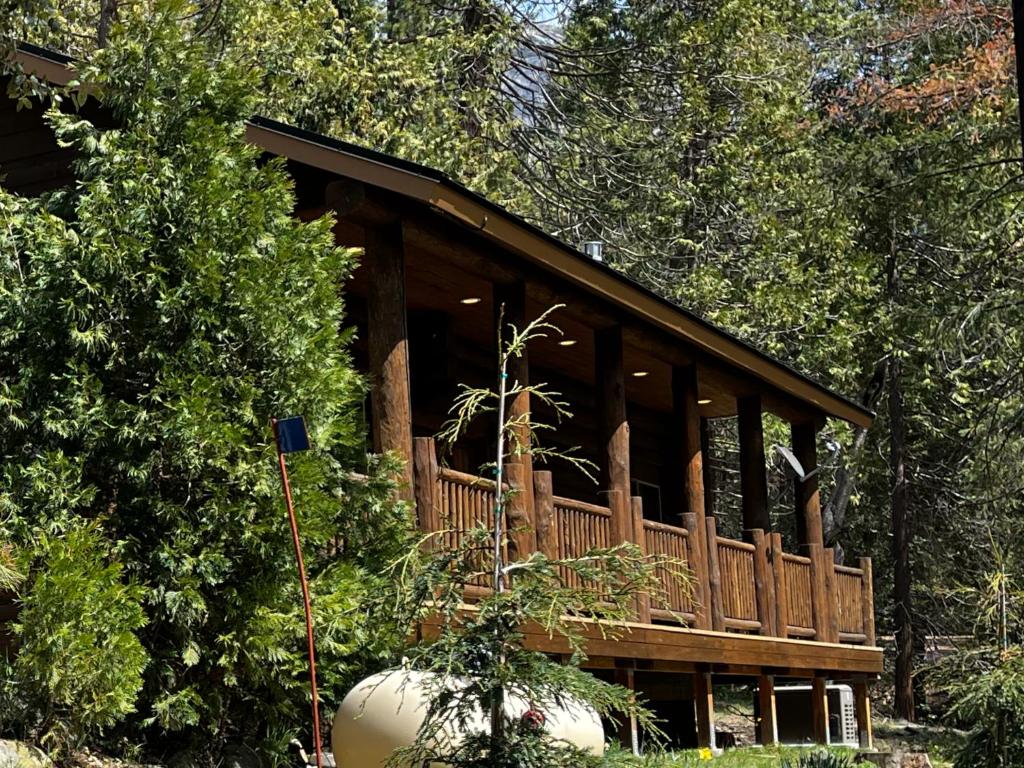 The Mini Cabin, Wawona (updated prices 2026)