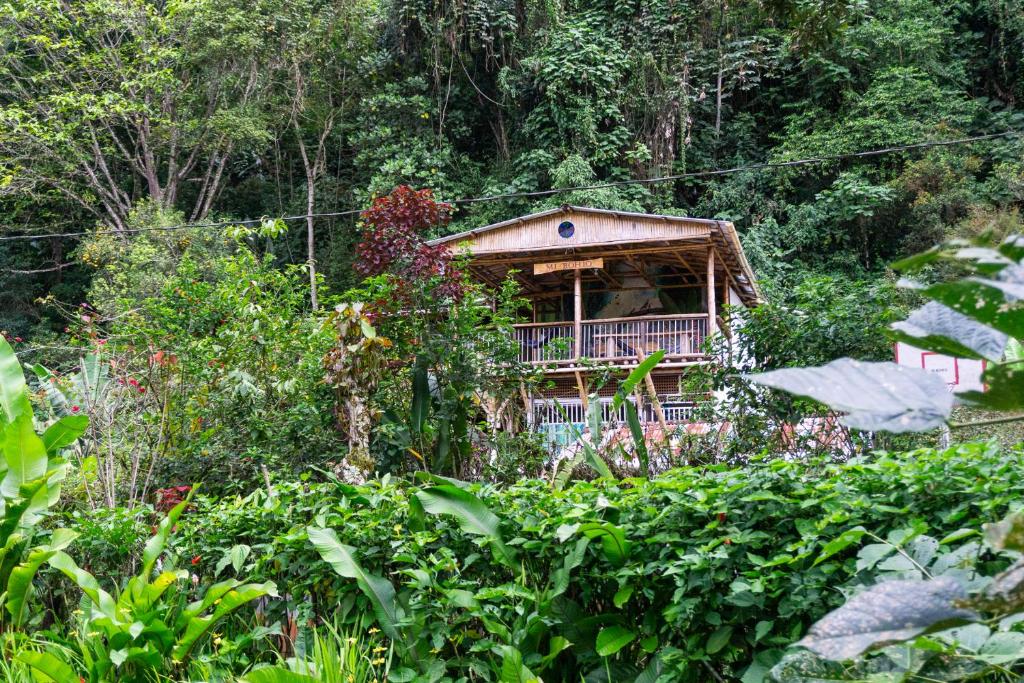 Mi Bohío Trekking, Salento (updated prices 2025)