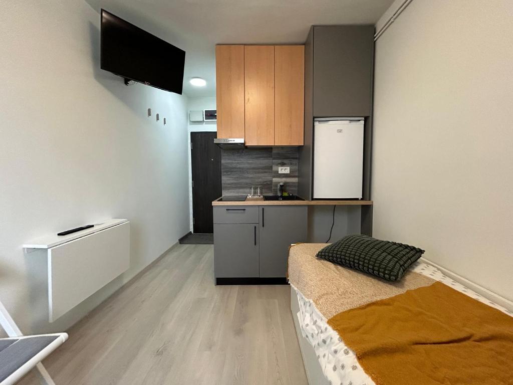 Unitate de cazare 'Lavinia' Arad, centru, stadion UTA, mall AFI, Arad ...