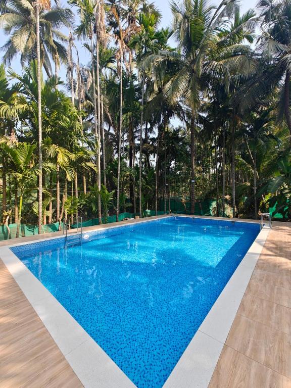 Baadal Pani Beach Resort Near Kelwa Beach, Dāndepāda (updated prices 2026)