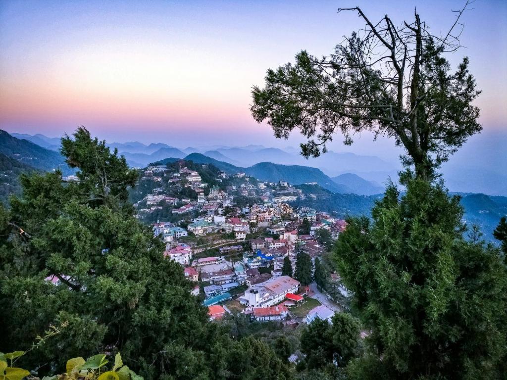 The Boho Mussoorie, Mussoorie (updated prices 2025)