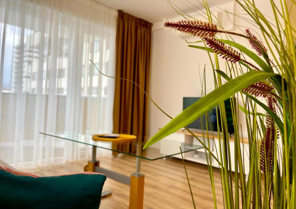 Carpatilor Urban Escape Studio: Free Parking & AC, Braşov (updated ...