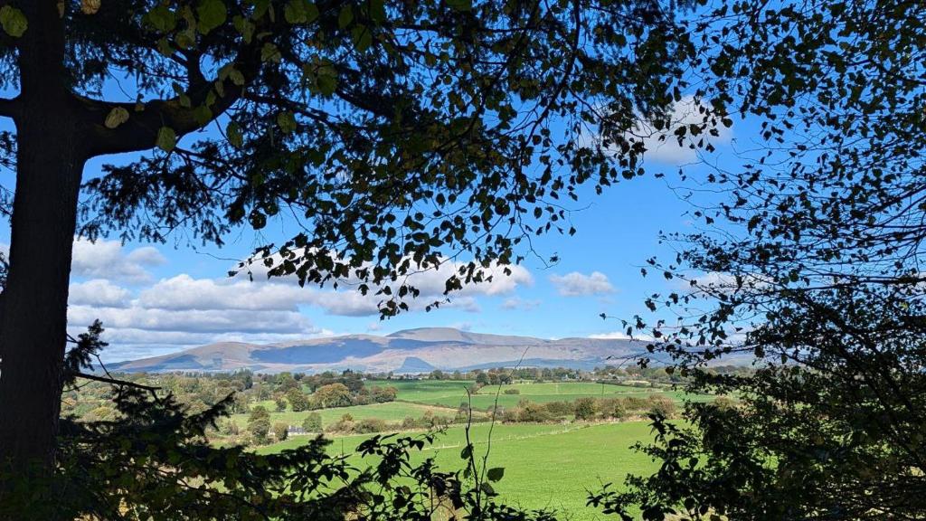 Oak Forest Cottage, Hacketstown (updated prices 2025)