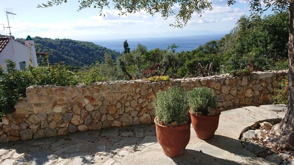 Olive Tree House, Alonnisos (updated prices 2026)