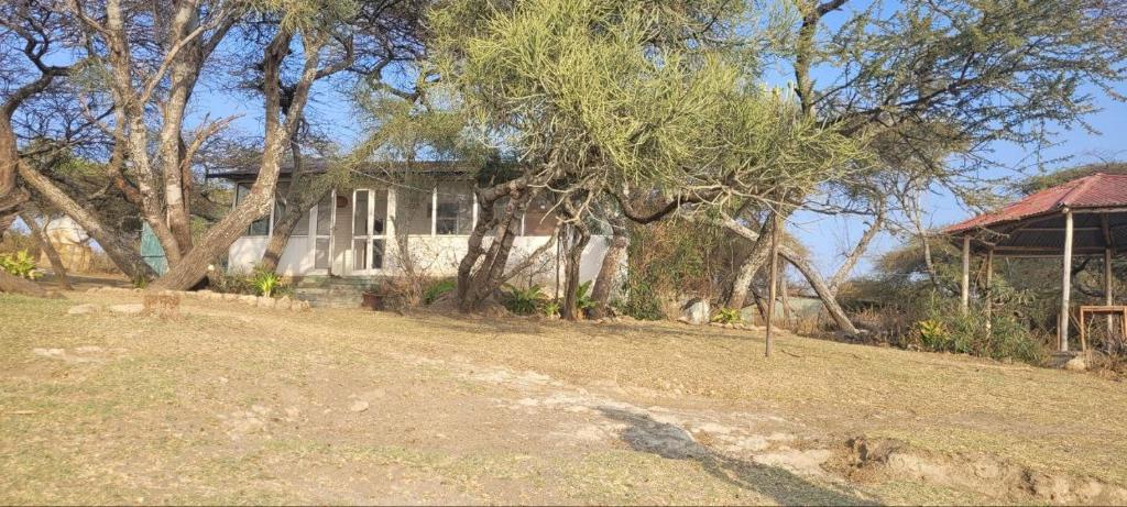 The house, Langano (updated prices 2025)