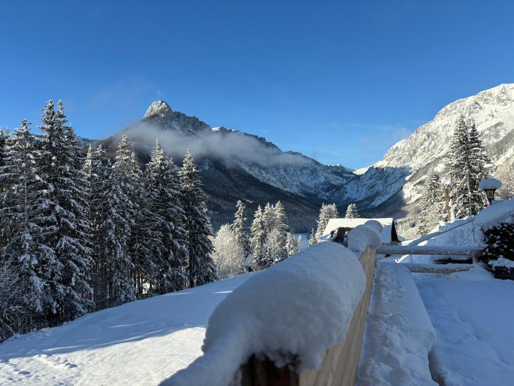 SCHUSTER's ALPENPANORAMA, Seewiesen (preços atualizados para 2025)