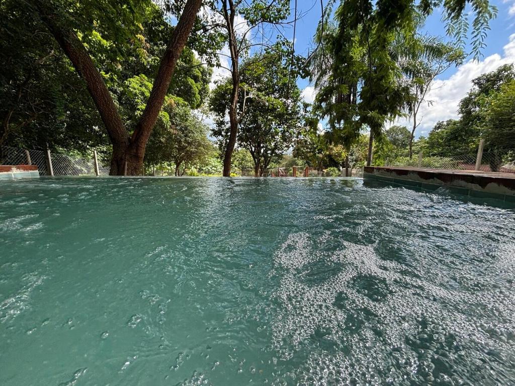 Capibara House, Buena Vista (updated prices 2025)