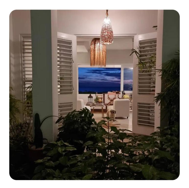 Ocean Front Sanguine Villa & Suite Treasure Beach, Treasure Beach ...