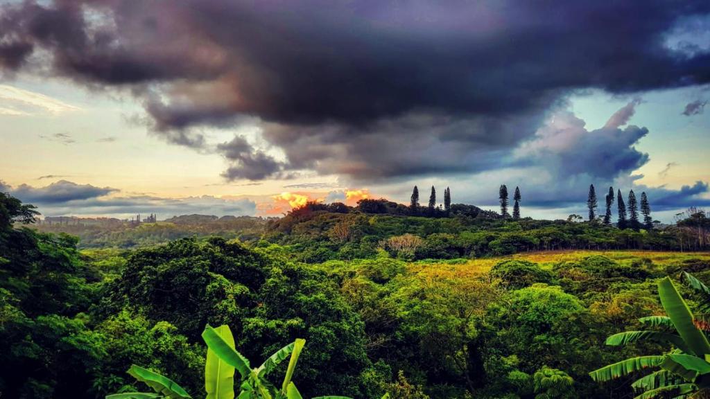 Beach Cottage Pumula, Pumula (precios actualizados 2026)