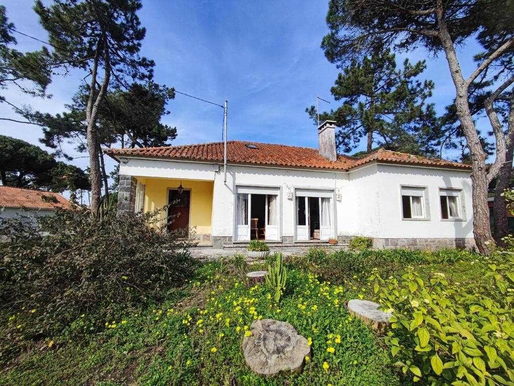 Sintra, traditional rustic V4 house in Colares, Sintra, Colares ...