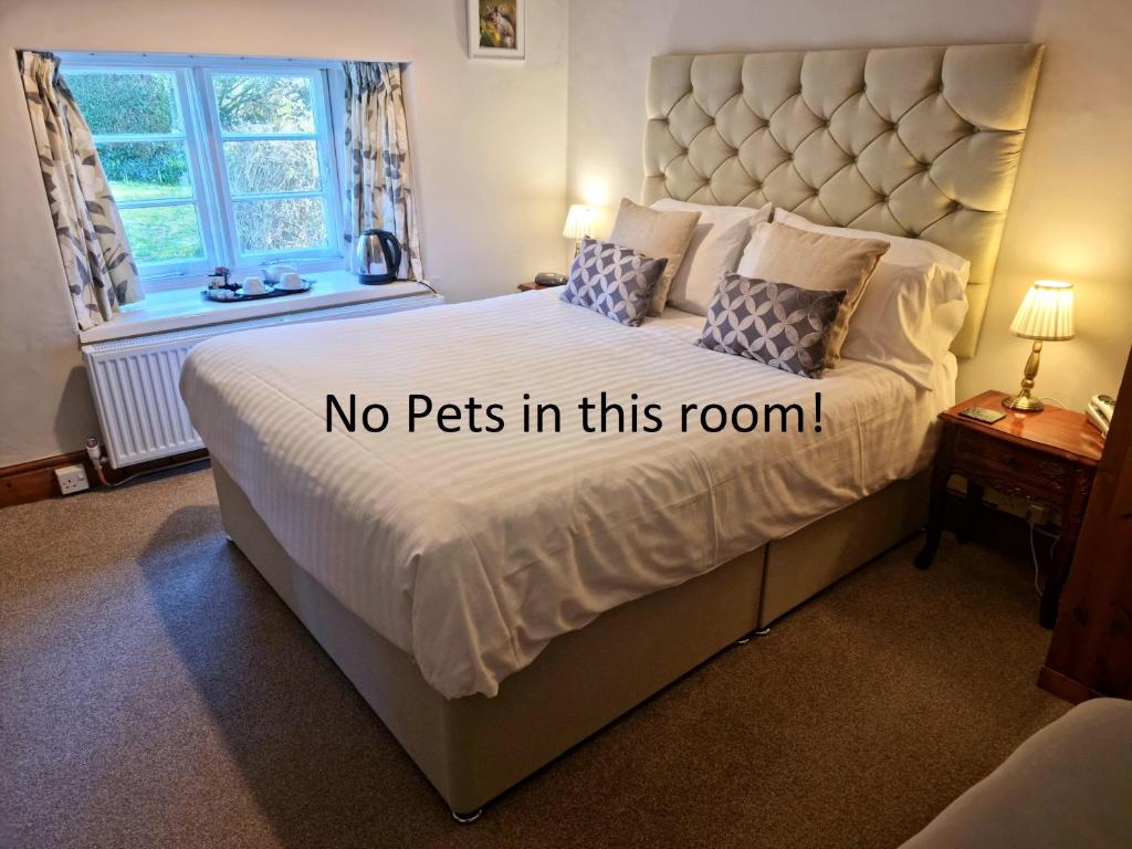 Collaven Manor, Okehampton (updated prices 2025)