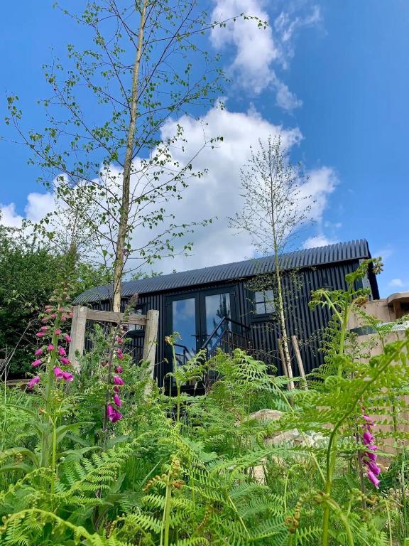 Heather Shepherd's Hut, Laragh (updated prices 2025)