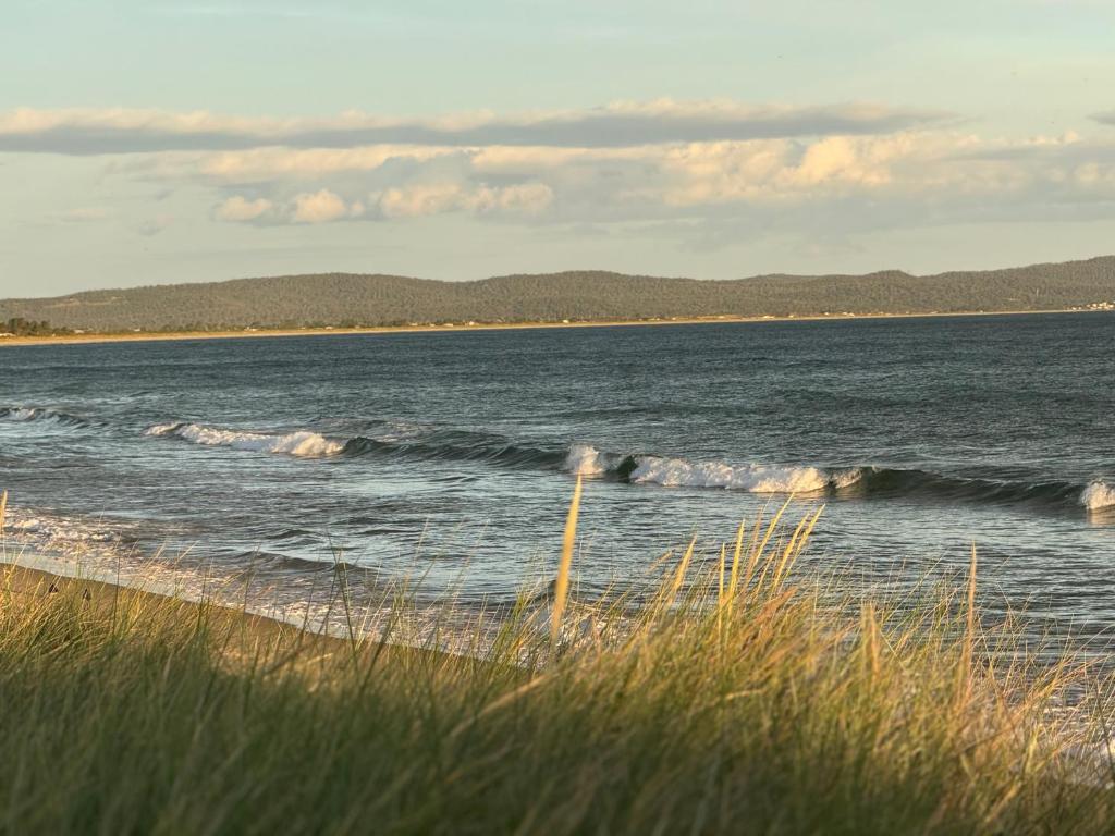 Beach front retreat at Dolphin Sands, Dolphin Sands (updated prices 2026)