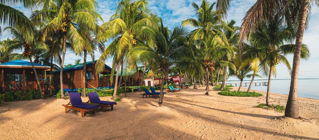 Coconut Row Boutique Hotel, Hopkins (updated prices 2025)