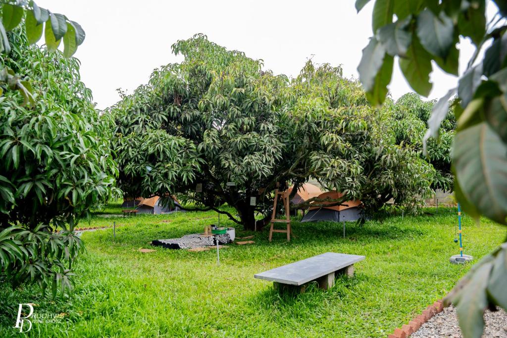 Escape to Nature at Mango Trails by Green Getaways, Talai (updated ...