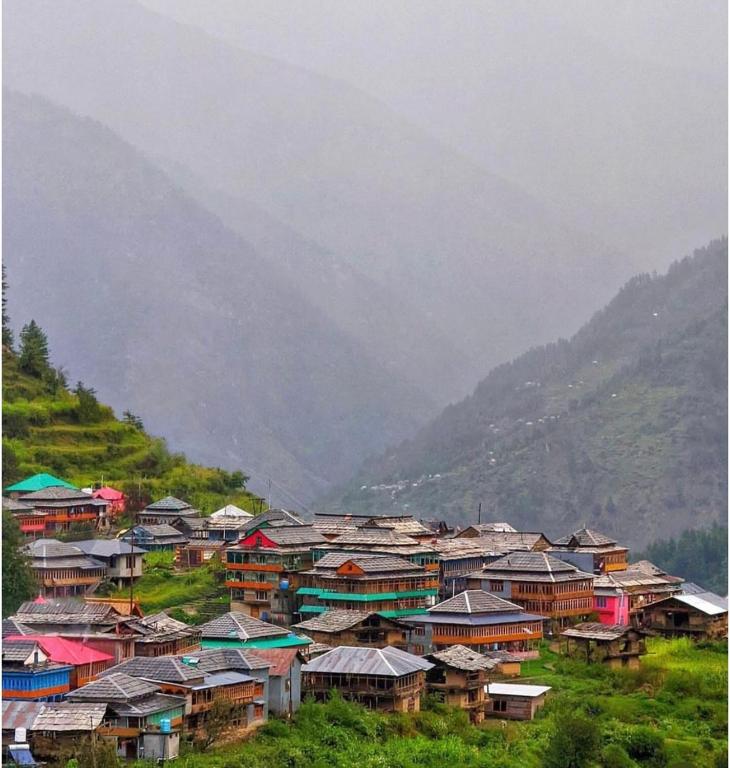 One piece, Kasol (aktualisierte Preise für 2025)