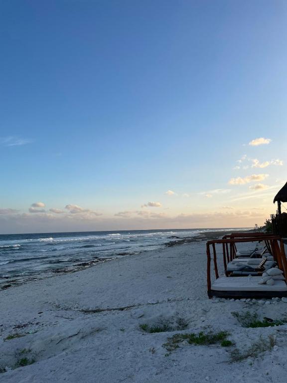 Tankah Bay Jungle Condominium with Sea Access 2 BDR, Tulum (updated ...