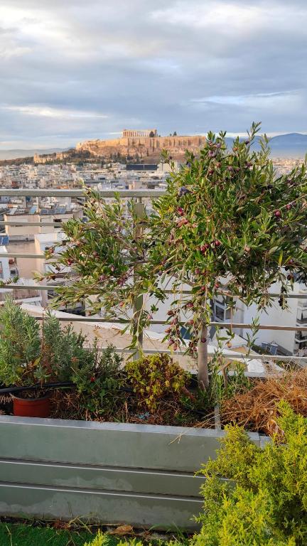 Pythagoras Acropolis, Athens (updated prices 2025)