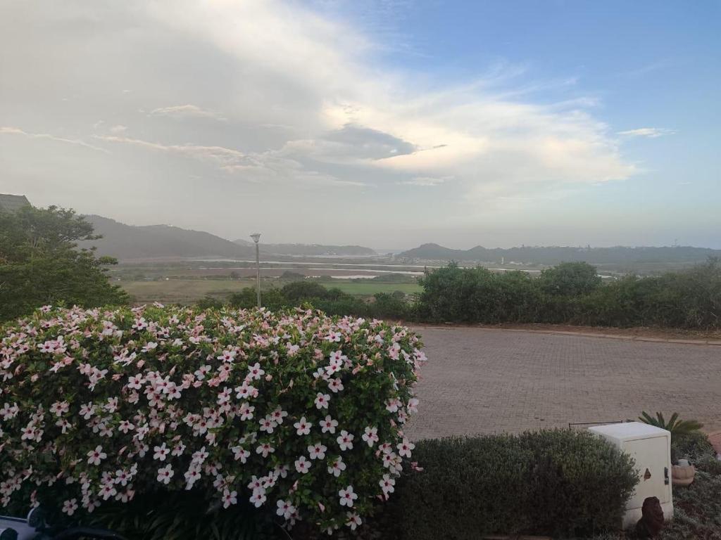 Next Chapter, Groot Brak Rivier (updated prices 2025)