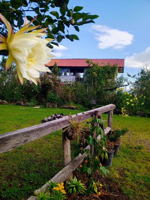 Marambu Pukyu, Ibarra (updated prices 2026)