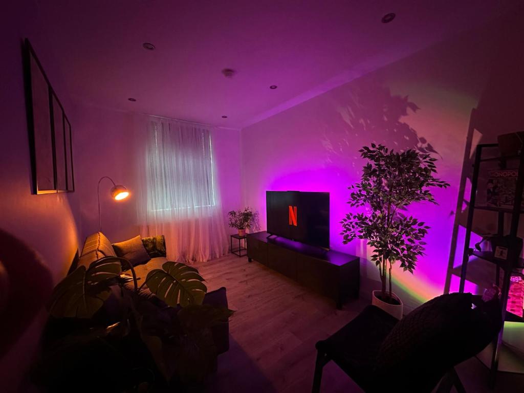 The Retro Suite with Wii games and entertainment, Leicester (updated ...