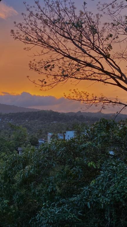 Kandy Hill Escape, Kandy (updated prices 2025)