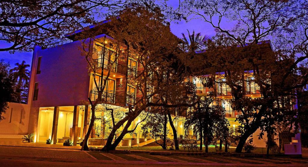 Rain Tree by Oak Ray, Tissamaharama (updated prices 2025)