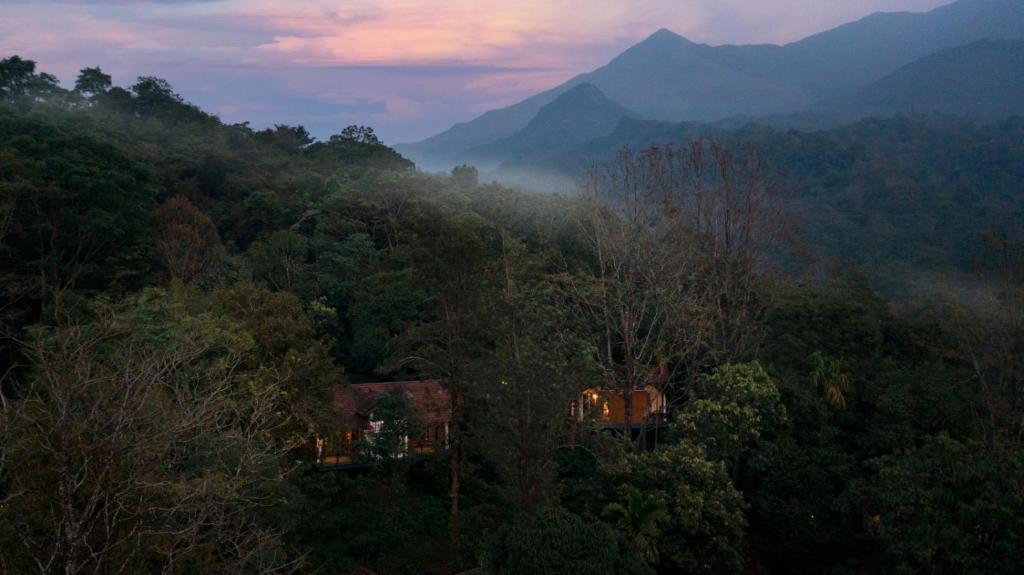 Vythiri Mist Resort, Vythiri (updated prices 2025)