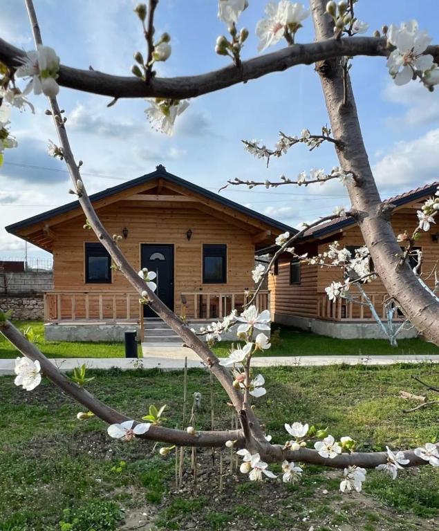 Guest House Dimal Berat, Pashalli (bijgewerkte prijzen 2025)