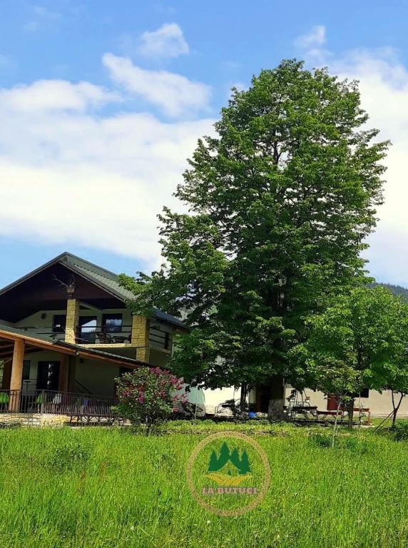 La butuci, Taşca (updated prices 2026)