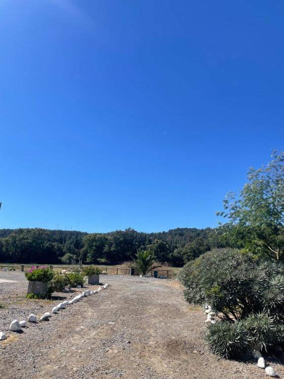 Cabañas María Gracia, Llico (updated prices 2025)