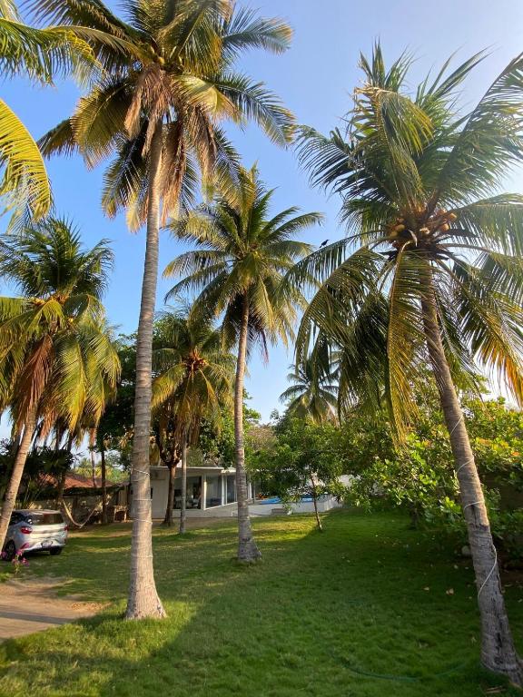 The Green Ranch, San Luis La Herradura (updated prices 2025)