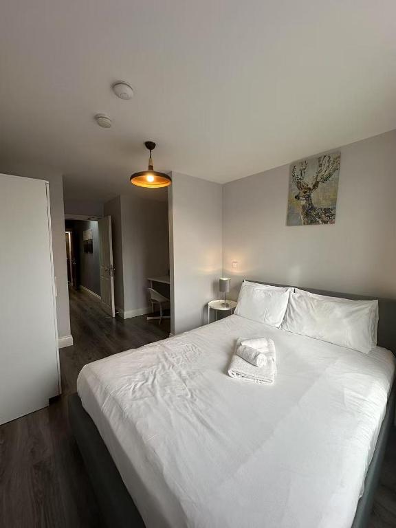 Green city one double bed, Dublin (updated prices 2025)