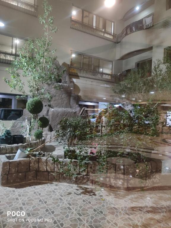 Single-Bed Overnight Stay, Dubai (updated prices 2026)