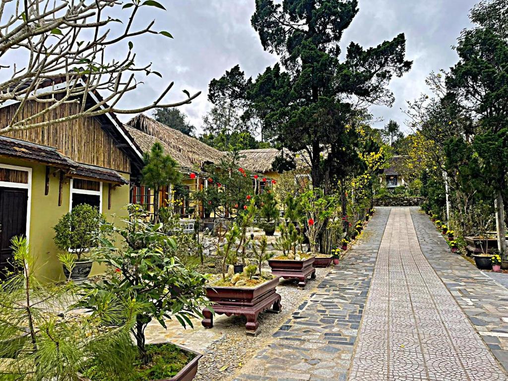 Pine Garden Homestay Hue, Huế (giá cập nhật năm 2026)