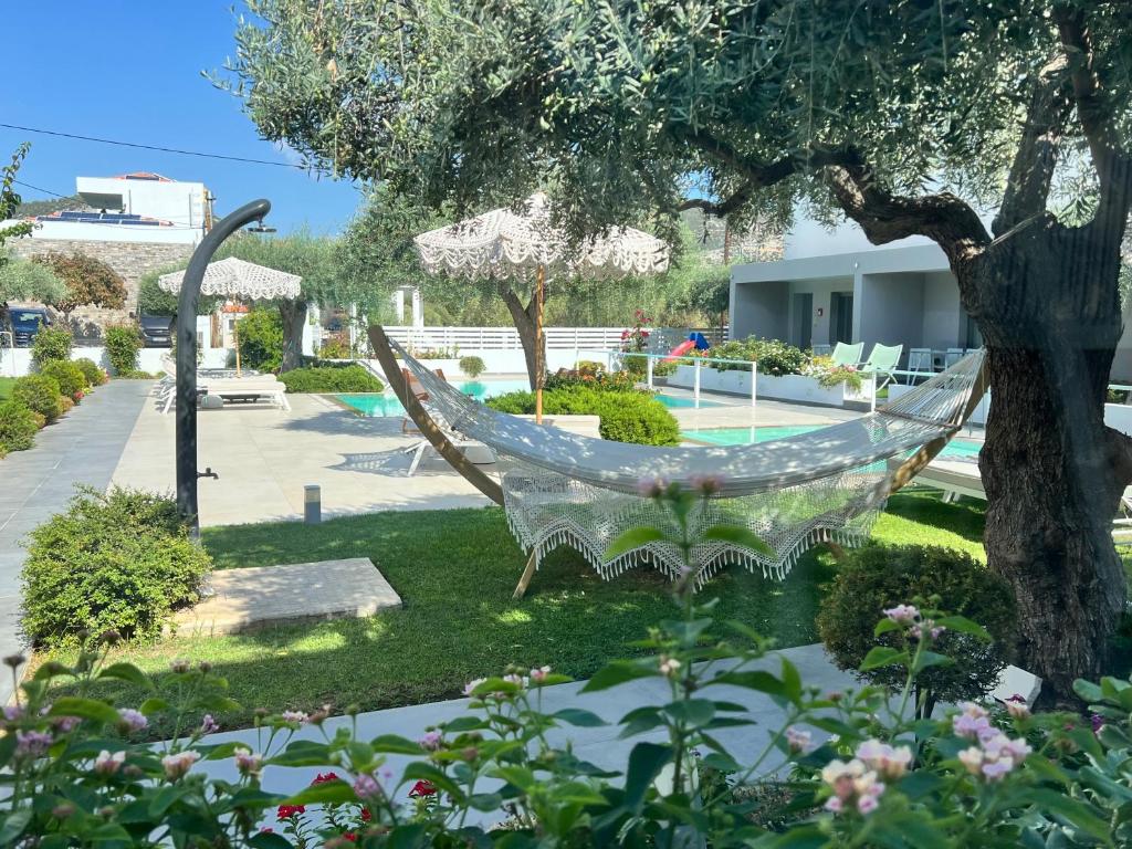 Thassos OLIVIA RESORT, Potos (updated prices 2026)