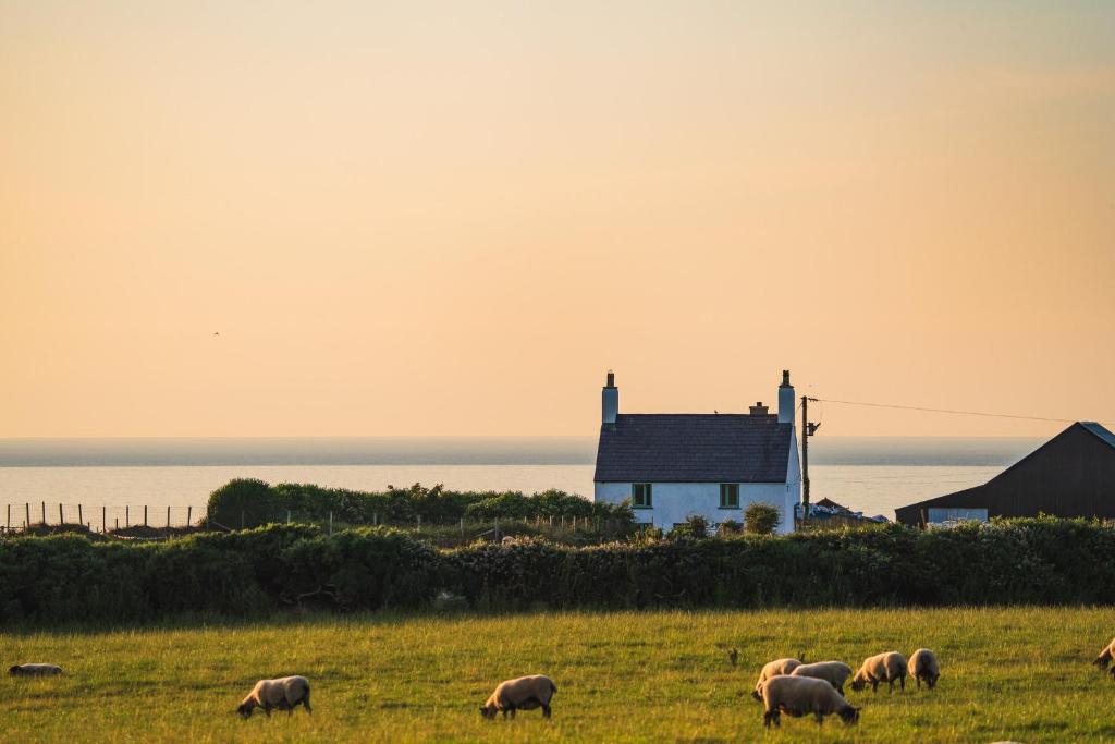 Mynachdy, North Wales Luxury Rural Farmhouse, Twdweiliog (updated ...