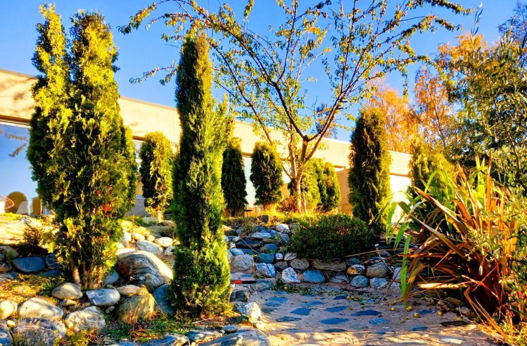 The Hidden Spring in Wanaka - Traveleto