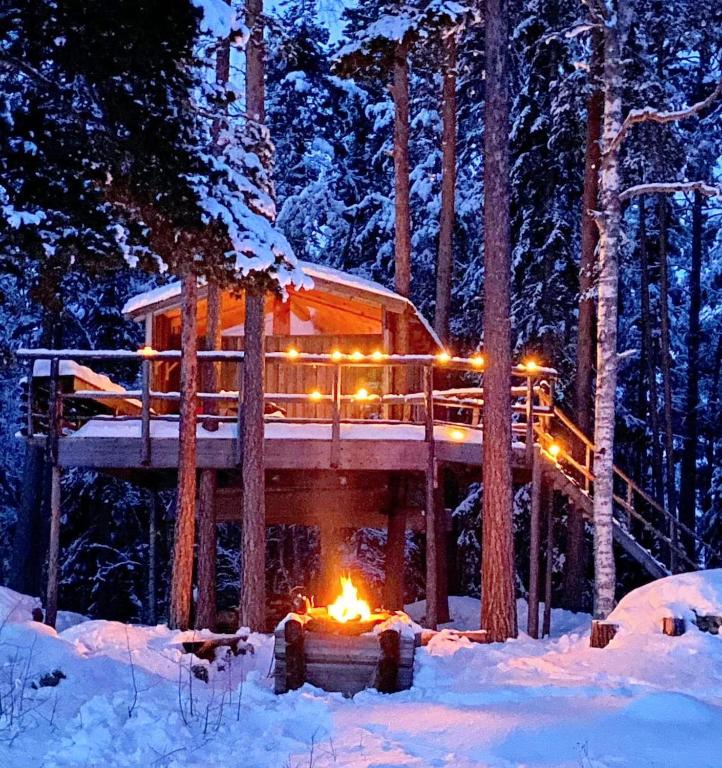 Haven Islands Treehouse on a private island, Torrflonäs (updated prices ...